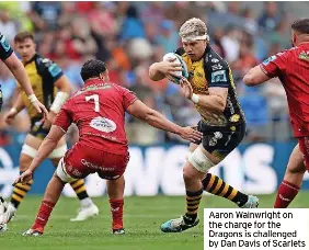 TOMI COULD HAVE WINGED HIS WAY IN - PressReader