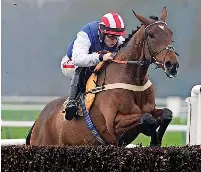 On song Jukebox Man in tune for King George after victory - PressReader