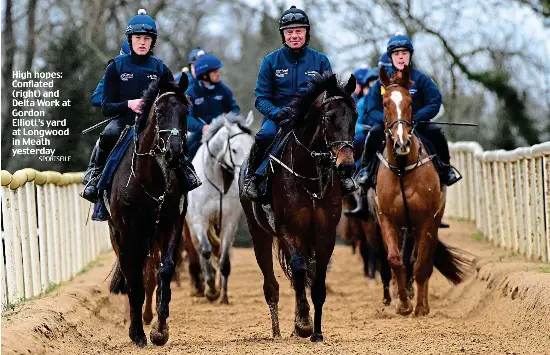 ELLIOTT ON A ROLL AGAIN - PressReader