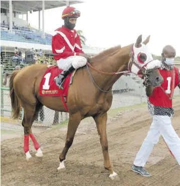 Mend the turn bad habit and Excessive Force is a winner - PressReader