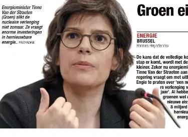 Groen eist 8 miljard investerin­gen voor openhouden kerncentra­les - PressReader