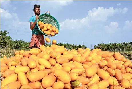 A.P. govt. denies violations in constructi­on of tourist retreat on ...