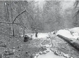 Best hot springs in Oregon for a long hot soak - PressReader