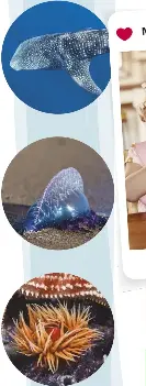 ’N HEEL ANDER SOORT GROOT 5! - PressReader