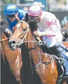 Spring hopes aim for Epsom glory - PressReader