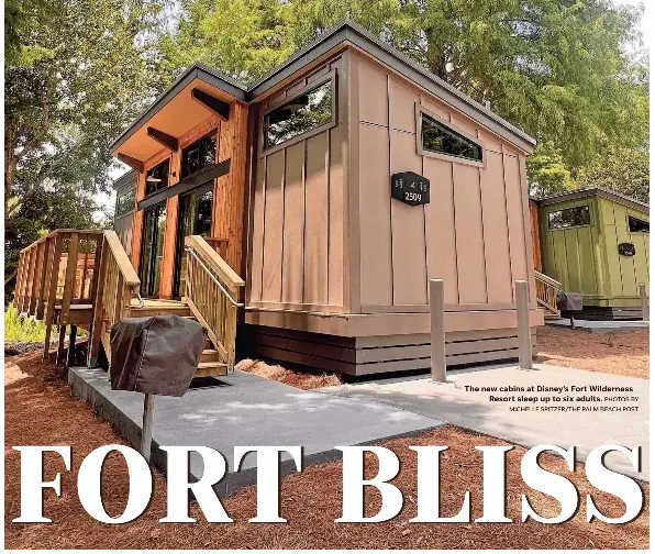 FORT BLISS - PressReader