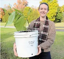 Volunteers needed to help Simcoe Food Forest take root - PressReader