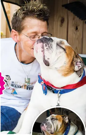A Famous Disabled Bulldog Unites Fans and Brings Cheer - PressReader