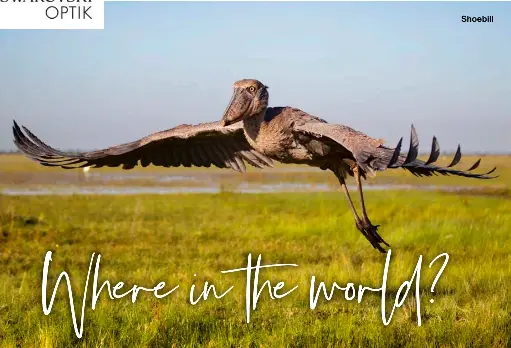 Where in the world? - PressReader