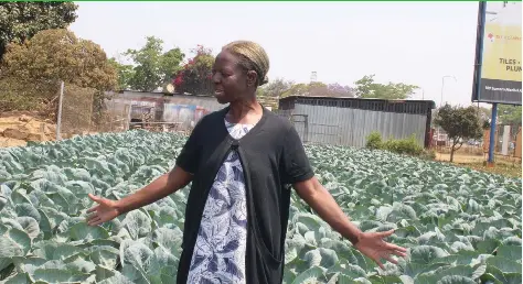 ‘Huku dzechivanh­u dzinosimud­za’ - PressReader