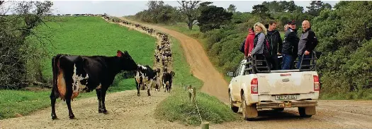 SA MELKBOERE BEÏNDRUK DUITSE BOERE - PressReader