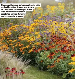 Top tips to add a bit of summer colour - PressReader