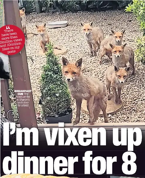I’m vixen up dinner for 8 - PressReader