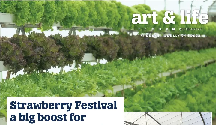 Strawberry Festival a big boost for agricultur­al tourism - PressReader