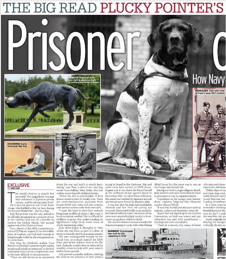 Prisoner of war dog - PressReader
