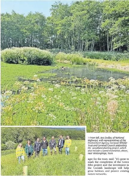 Highways project looks to restore some of our lost flora and fauna - PressReader