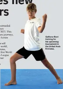 Plett’s Italian Ninja explores new frontiers - PressReader