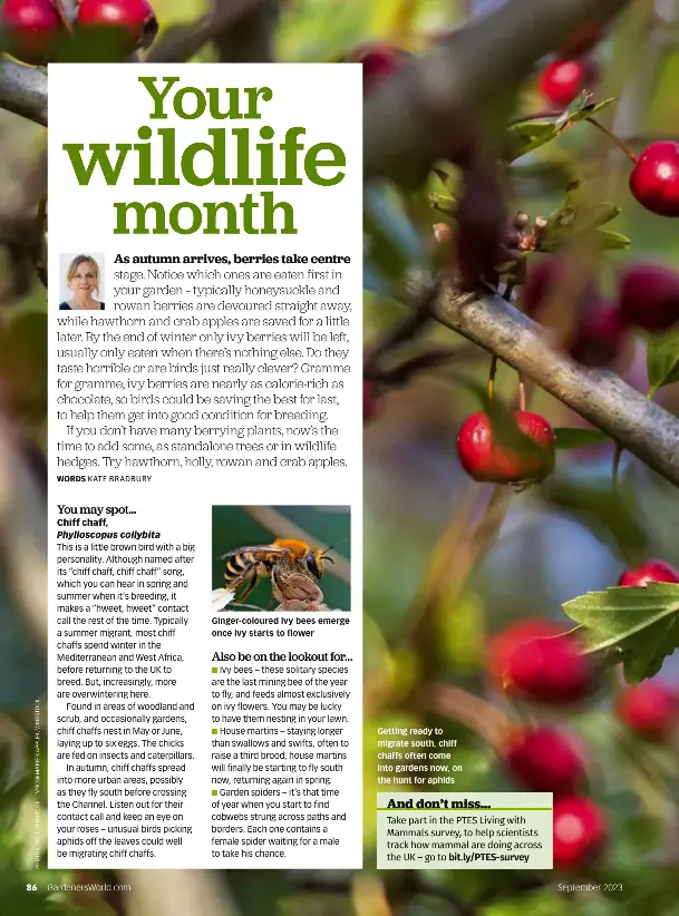 Your wildlife month - PressReader