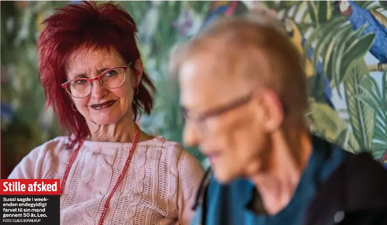 FARVEL I FRED - PressReader