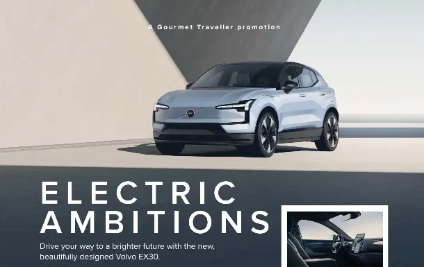 ELECTRIC AMBITIONS - PressReader