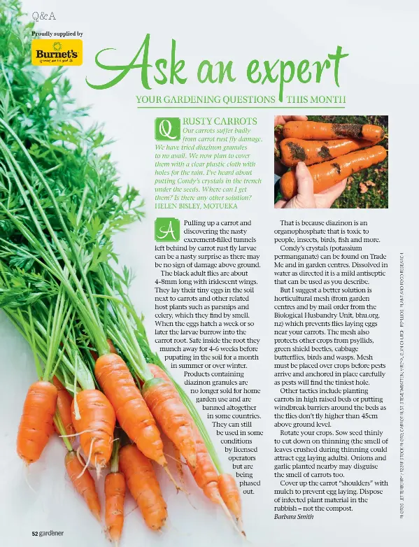 Ask our experts - PressReader