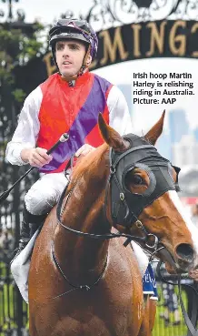 Harley targets Magic Millions - PressReader