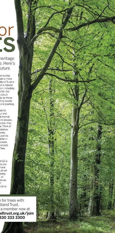 Root for TREES - PressReader