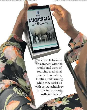Elephants and people benefit as rural gogos explore technology - PressReader