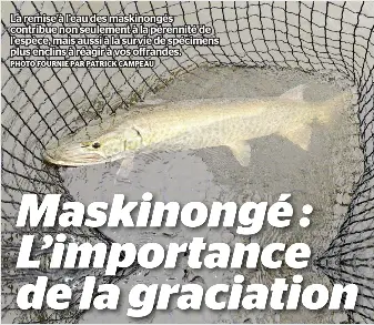 Maskinongé : L’importance de la graciation - PressReader