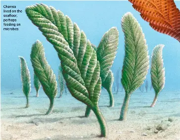 What were charnia? - PressReader