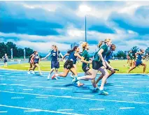 Pupils get a chance to shine at local track and field event - PressReader