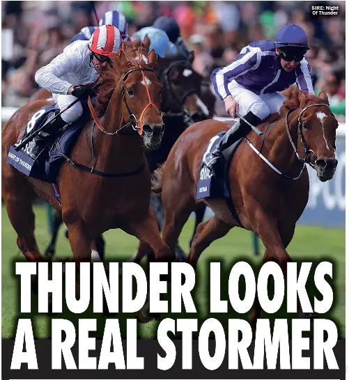 ALL OF TODAY’S TOP RACING TIPS THUNDER LOOKS A REAL STORMER - PressReader