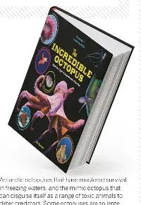 THE INCREDIBLE OCTOPUS - PressReader