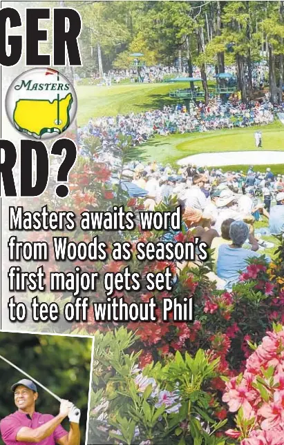 WILL TIGER SPRING FORWARD? - PressReader