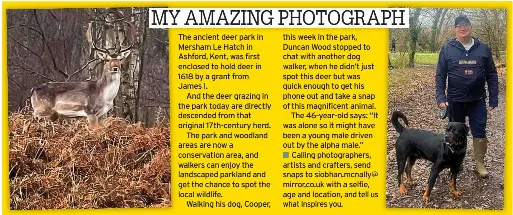 MY AMAZING PHOTOGRAPH - PressReader