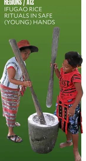 IFUGAO RICE RITUALS IN SAFE (YOUNG) HANDS - PressReader