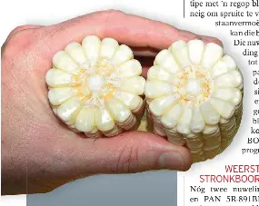 Beplan kultivars vooruit vir volhoubaar­heid - PressReader