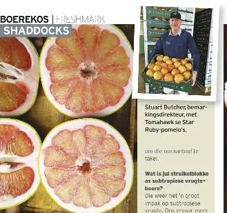 STUART BUTCHER - PressReader