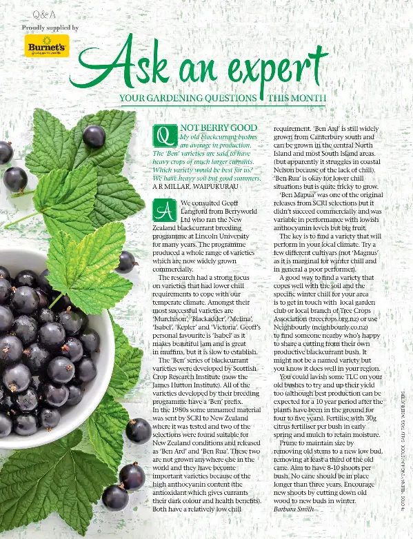 Ask our experts - PressReader