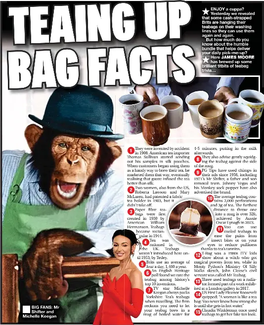 TEAING UP BAG FACTS - PressReader