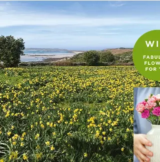 WIN a year’s supply of scented blooms from Scilly Flowers - PressReader