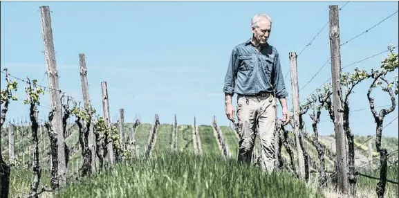 Thinking ahead on climate in North East vineyards - PressReader