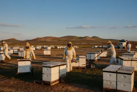 Could become a death spiral’: scientists discover what’s driving record ...