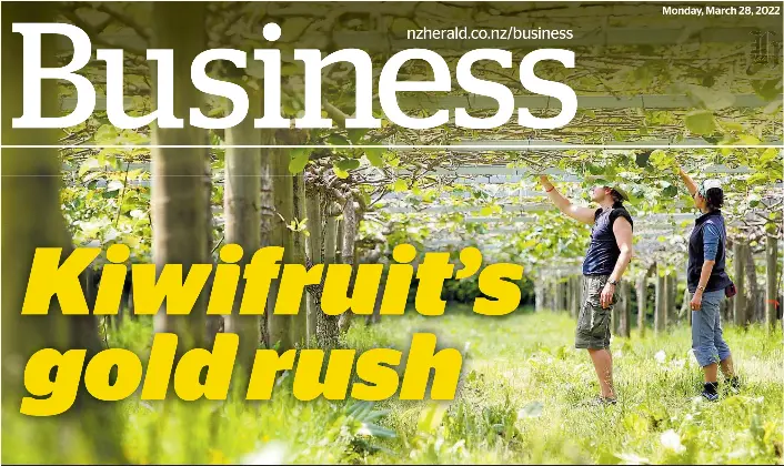 Kiwifruit’s gold rush - PressReader