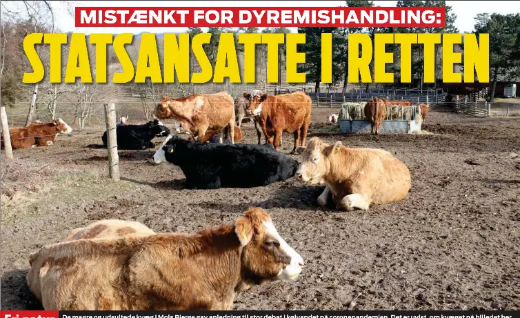 STATSANSAT­TE I RETTEN - PressReader