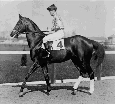 Black Gold, winner in 1924, story of triumph and tragedy - PressReader