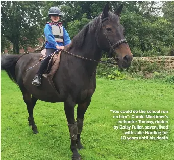 Top tips for loaning an older horse - PressReader