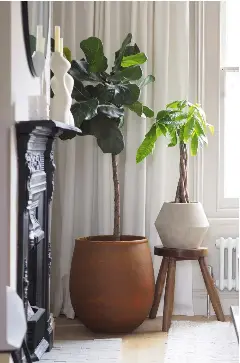 IN THE FRAME - PressReader