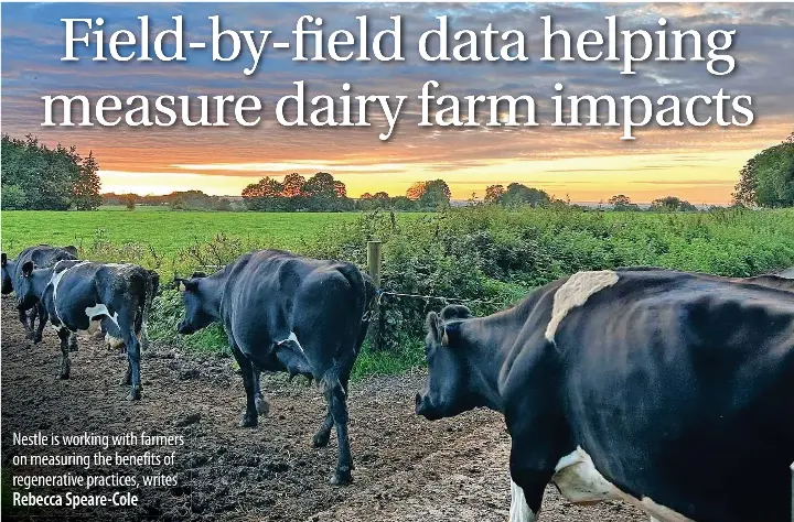 Field-by-field data helping measure dairy farm impacts - PressReader