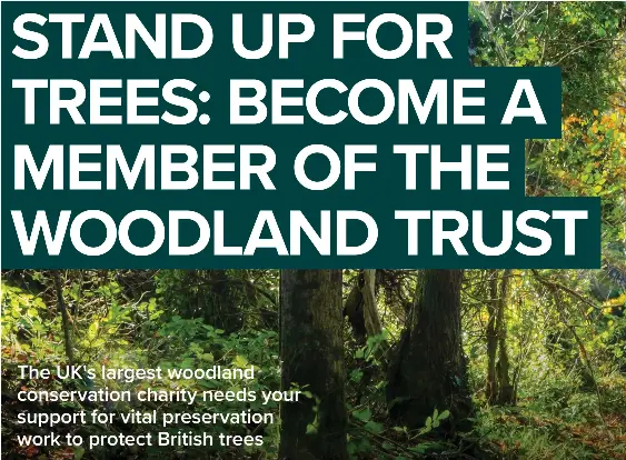 STAND UP FOR TREES: BECOME A MEMBER OF THE WOODLAND TRUST - PressReader